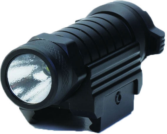 AE Light TGWL1 Weapon Light LED Flashlight, Universal Rail Mount, 200 ...