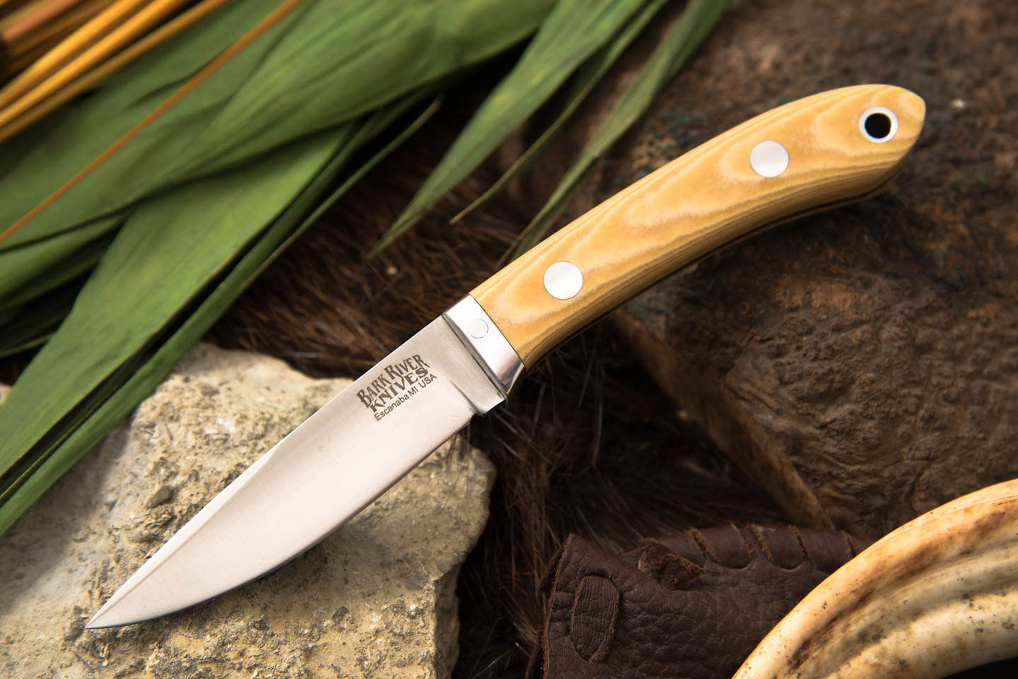 Bark River Knives Blackwater Fixed 3" Elmax Blade, Antique Ivory ...