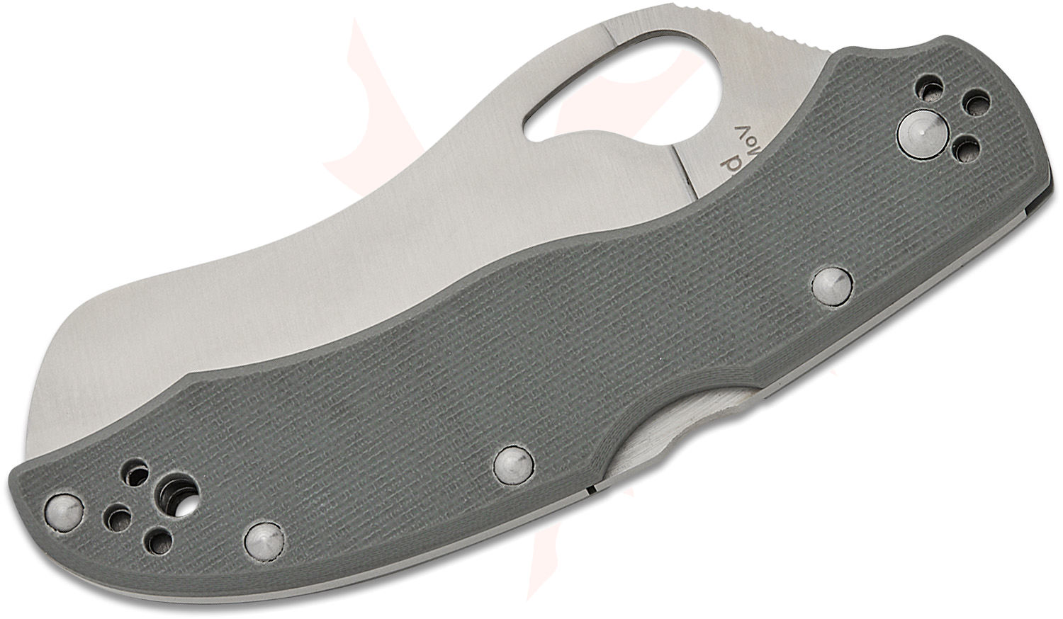 Spyderco Byrd BY24GPGY Gooney Lockback Folding Knife 3.46" Satin Plain ...