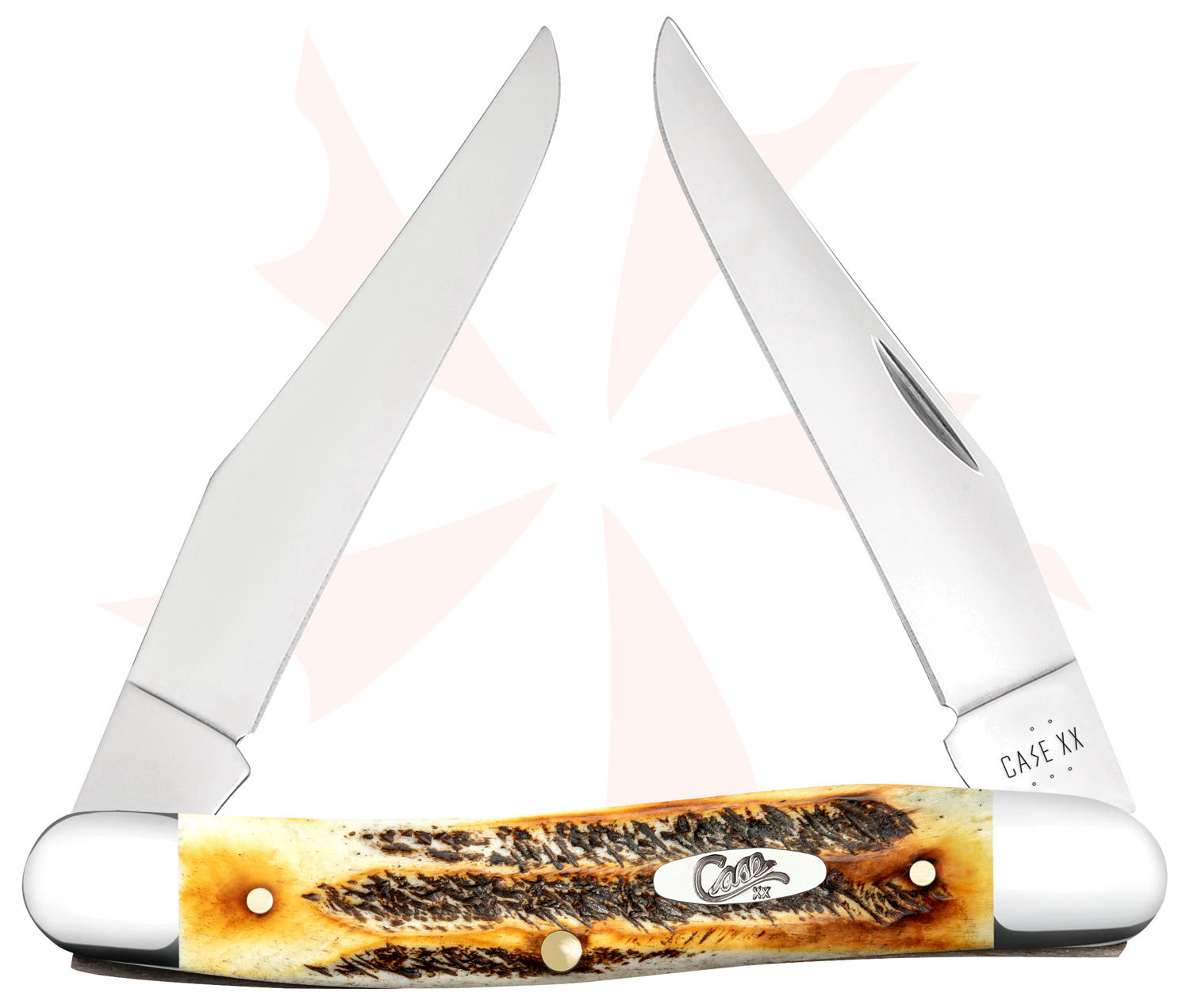 Case 6.5 Burnt Bone Stag Muskrat Pocket Knife 3.88" Closed (MUSKRAT SS ...