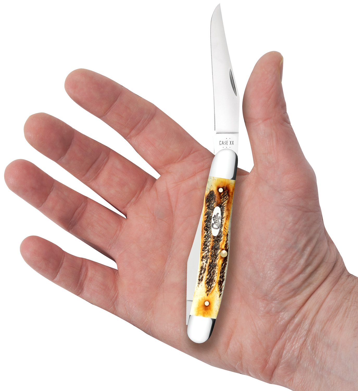 Case 6.5 Burnt Bone Stag Muskrat Pocket Knife 3.88" Closed (MUSKRAT SS ...
