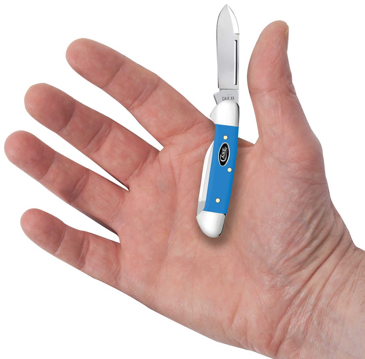 Case Light Blue Synthetic Baby Butterbean Pocket Knife 2.75" Closed ...