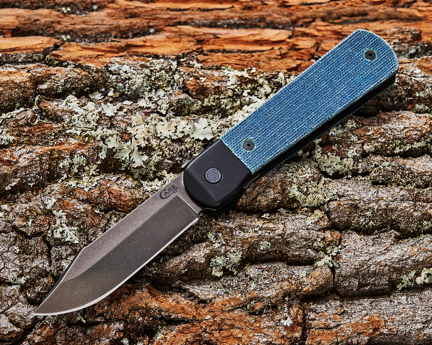 Case 2025 SHOT Show Bridgeline Series Longhouse Front Flipper Knife 2. ...