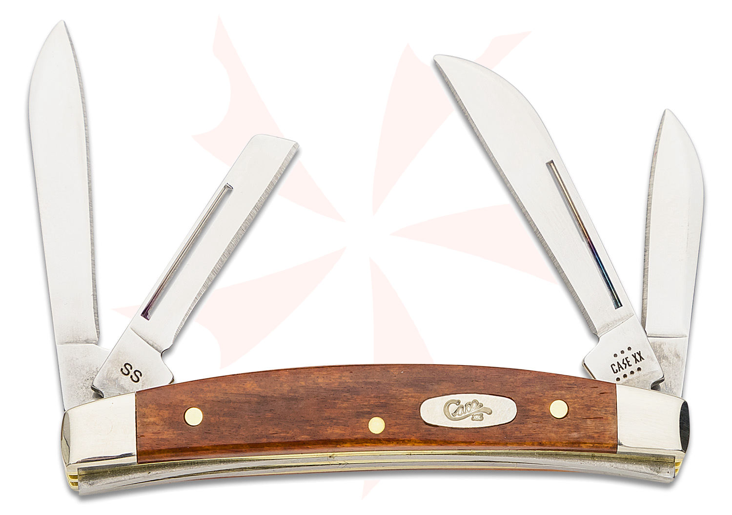 Case Smooth Chestnut Bone 4-Blade Small Congress 3.13" Closed (6468 SS ...