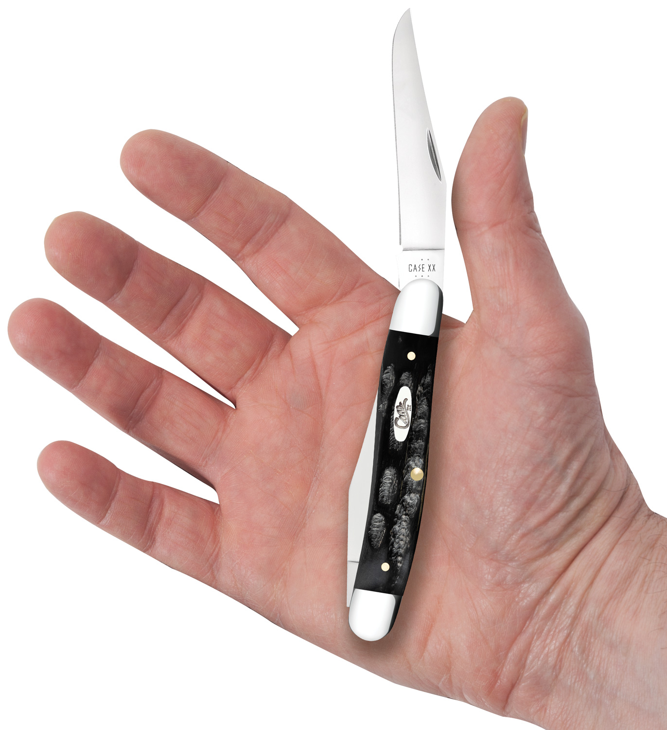 Case Jigged Buffalo Horn Muskrat Pocket Knife 3.88" Closed (MUSKRAT SS ...