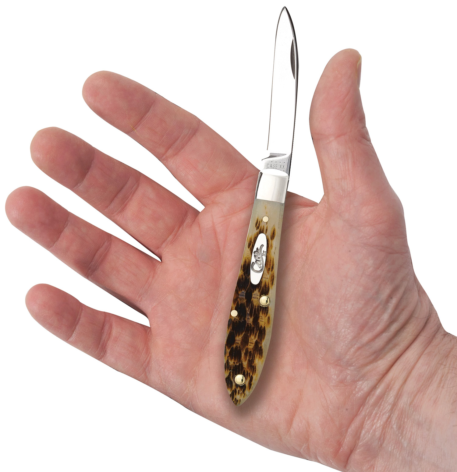 Case Amber Bone Tear Drop Jack 3-1/2" Closed (TB61028 SS) - KnifeCenter ...