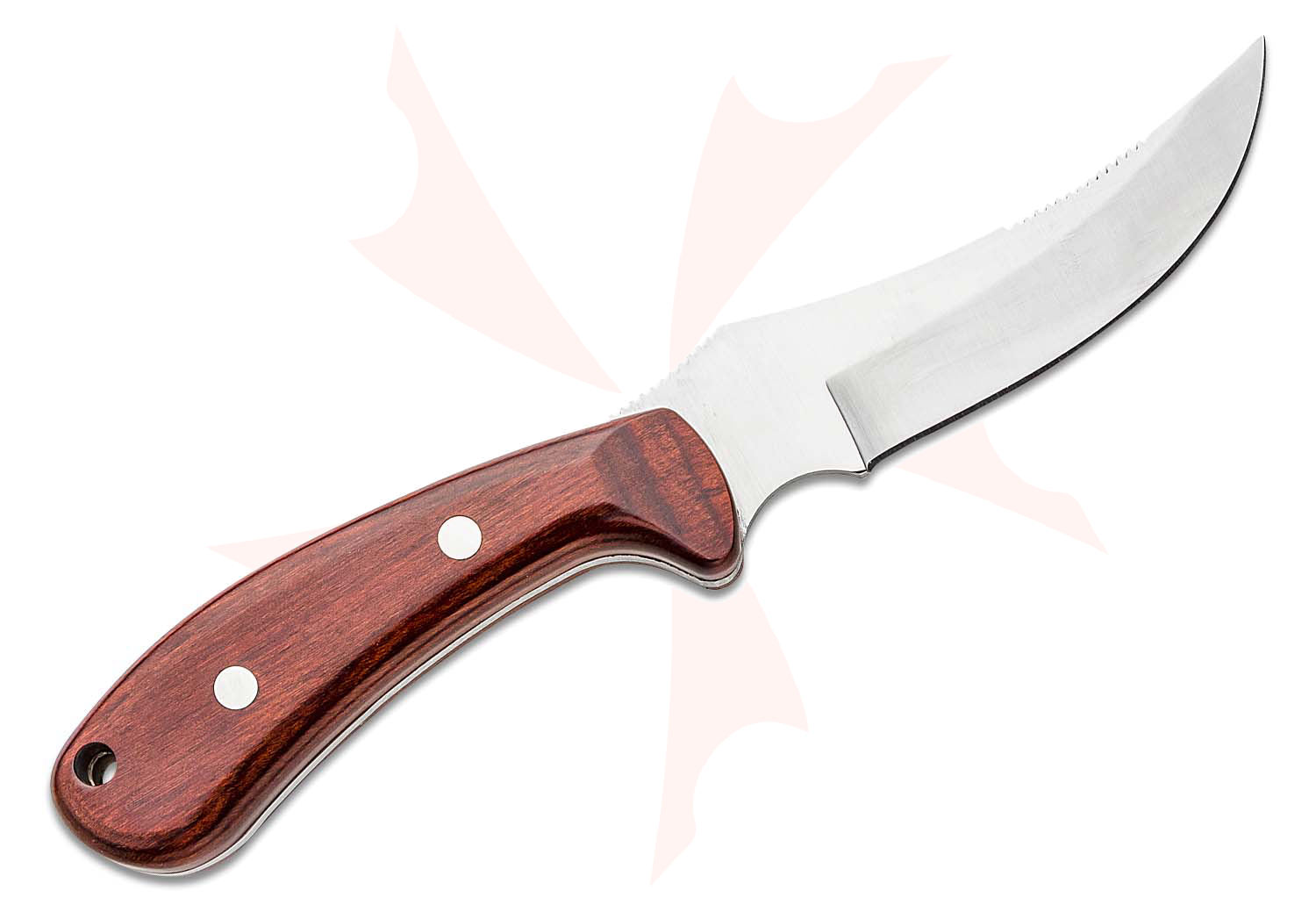 Case Blackie Collins Ridgeback Hunter Fixed 4.1" Skinner Blade ...