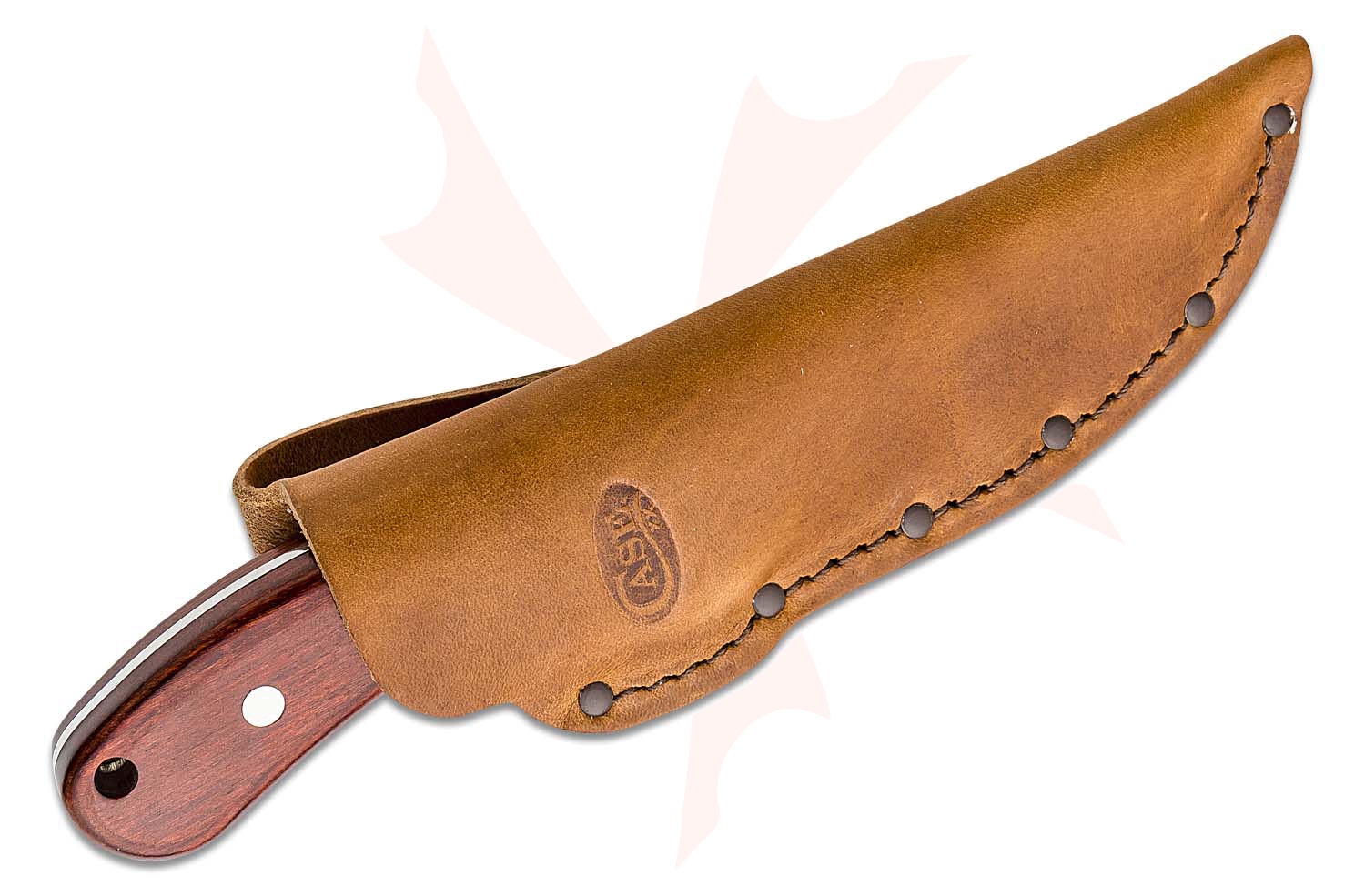 Case Blackie Collins Ridgeback Hunter Fixed 4.1" Skinner Blade ...