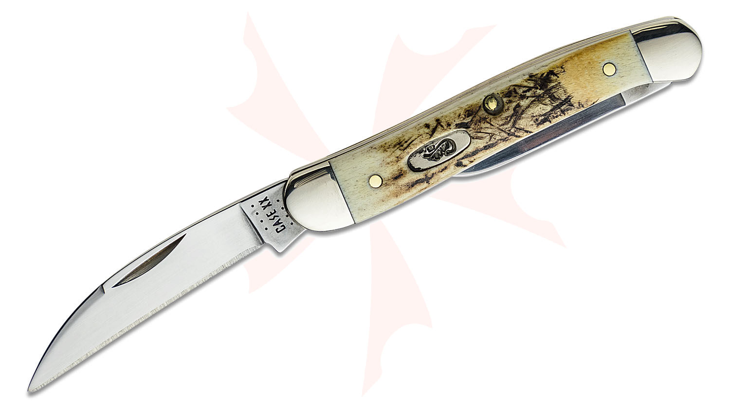 Case Genuine Stag Mini Copperhead 3.13" Closed (52109W SS ...