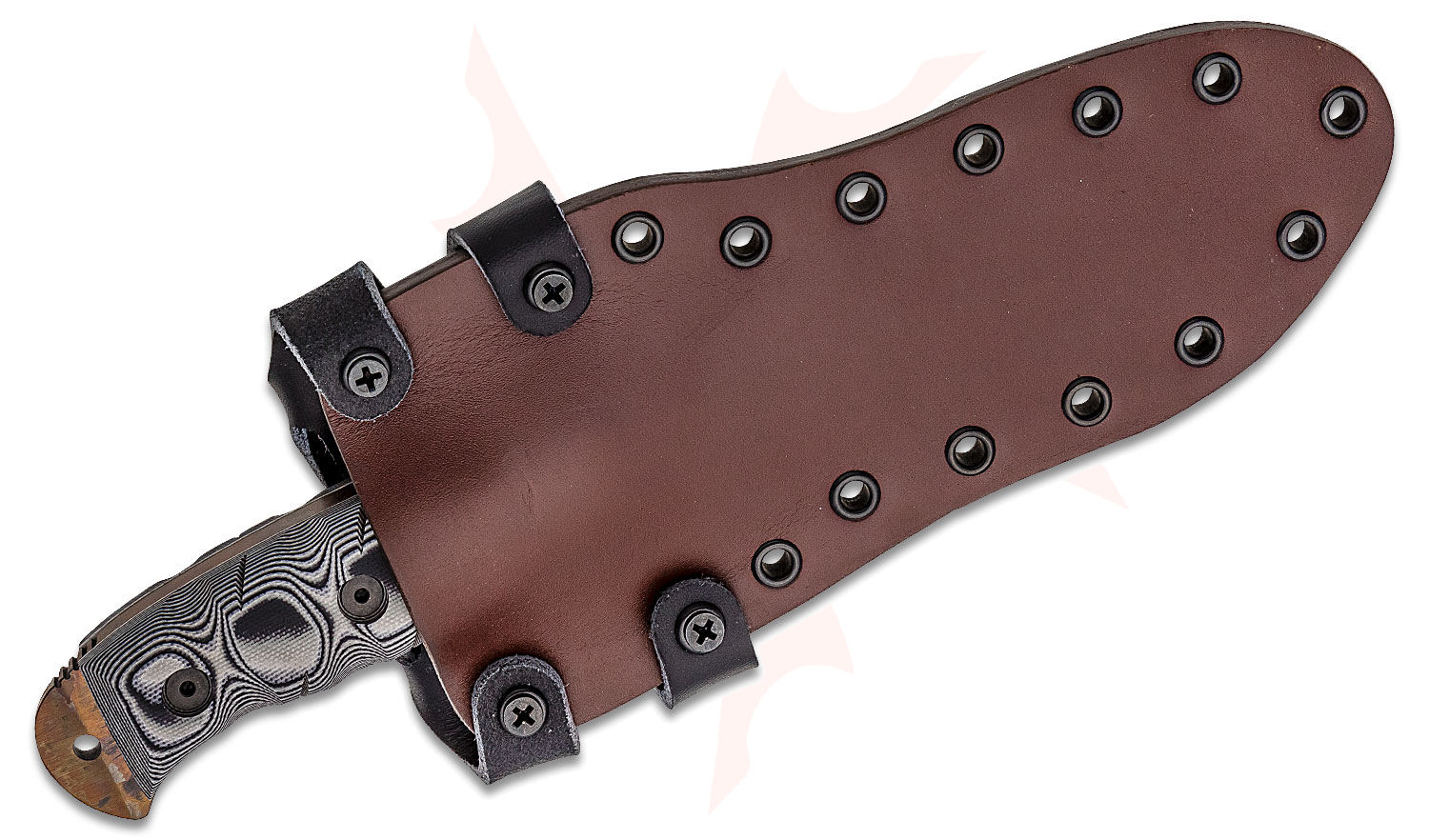 Dawson Knives Custom Raider 5 Fixed Blade Knife 5.5" CPM-3V Arizona ...