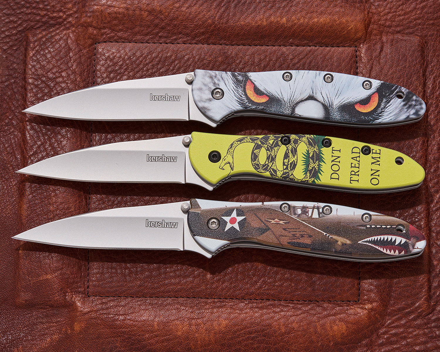 Kershaw 1660FP Ken Onion Leek Assisted Liner Lock Flipper Knife 3 ...