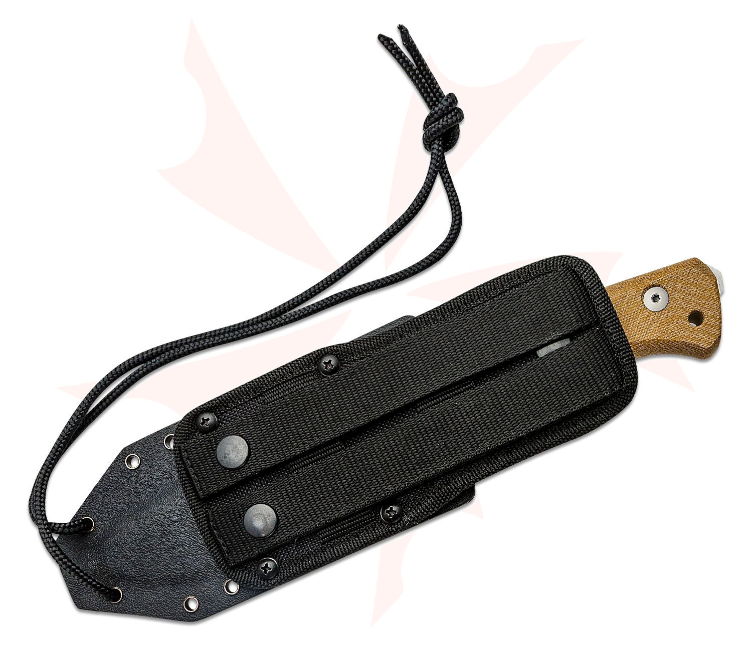 LionSteel T6 3V CVN Fixed Blade Knife 6.03" CPM-3V Satin Drop Point ...