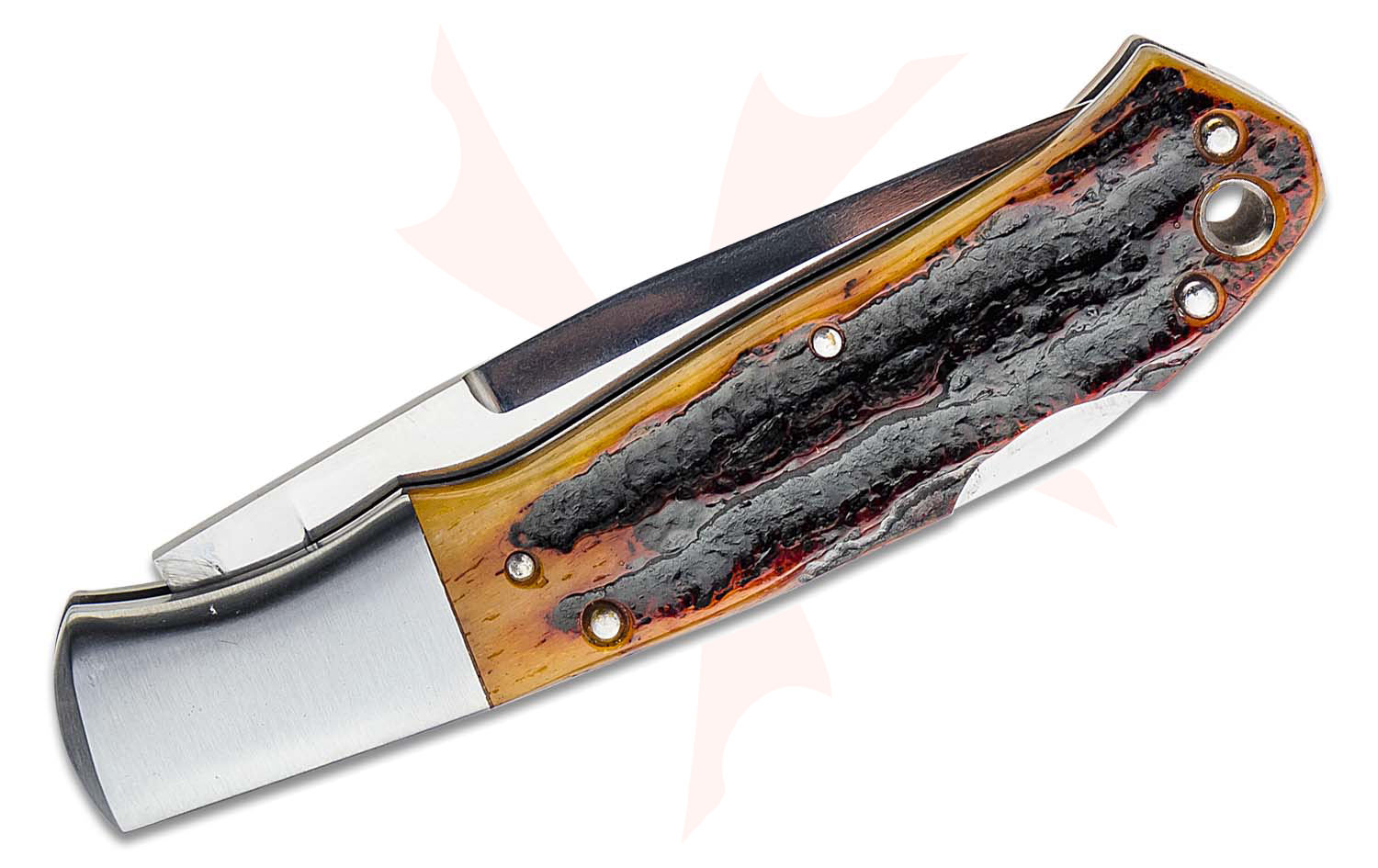 Moki Kronos Folder with Stag Bone Handle and 2.8" Plain Edge Blade ...