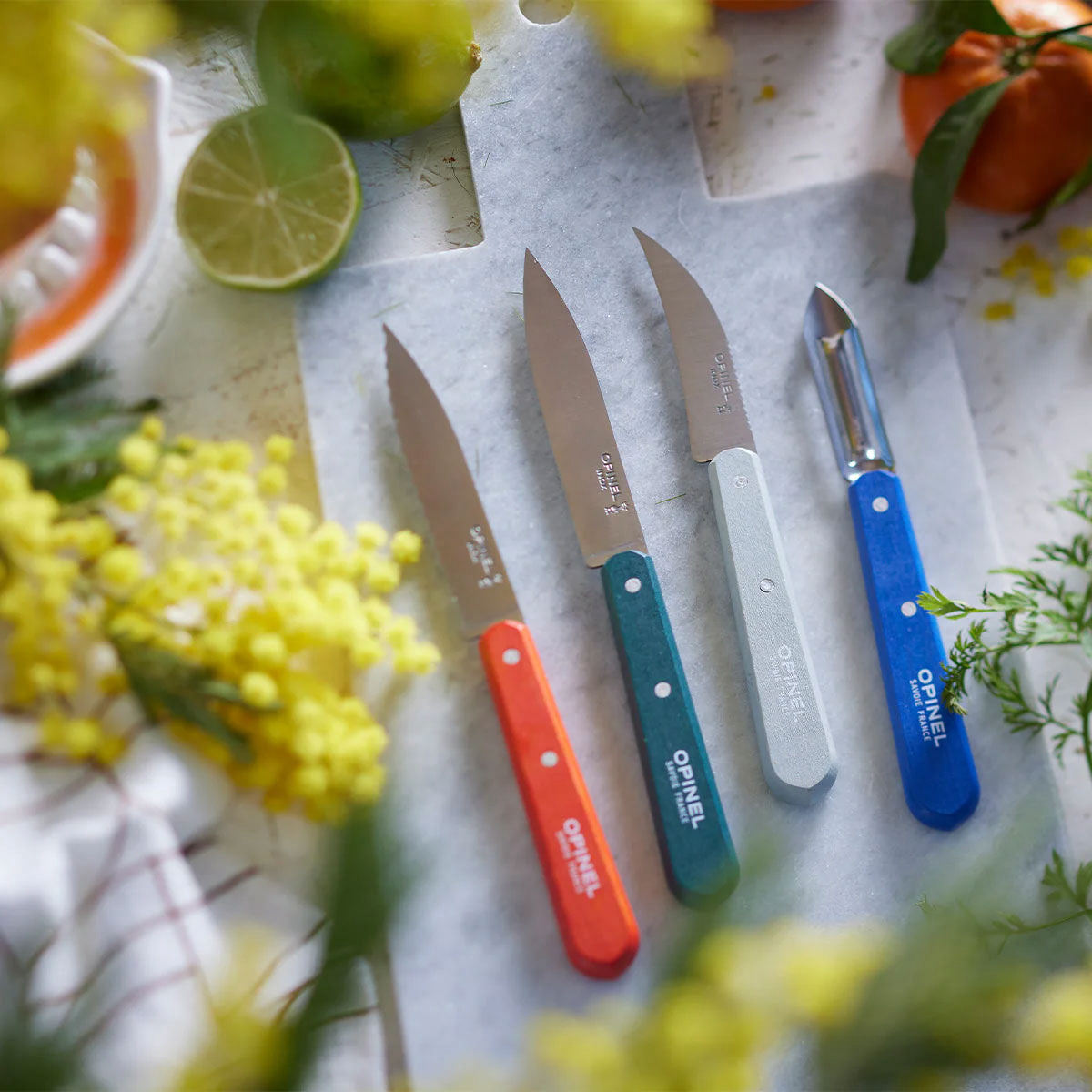 Opinel 4-Piece Essentials Small Kitchen Knives Set, Primo Multi-Color ...