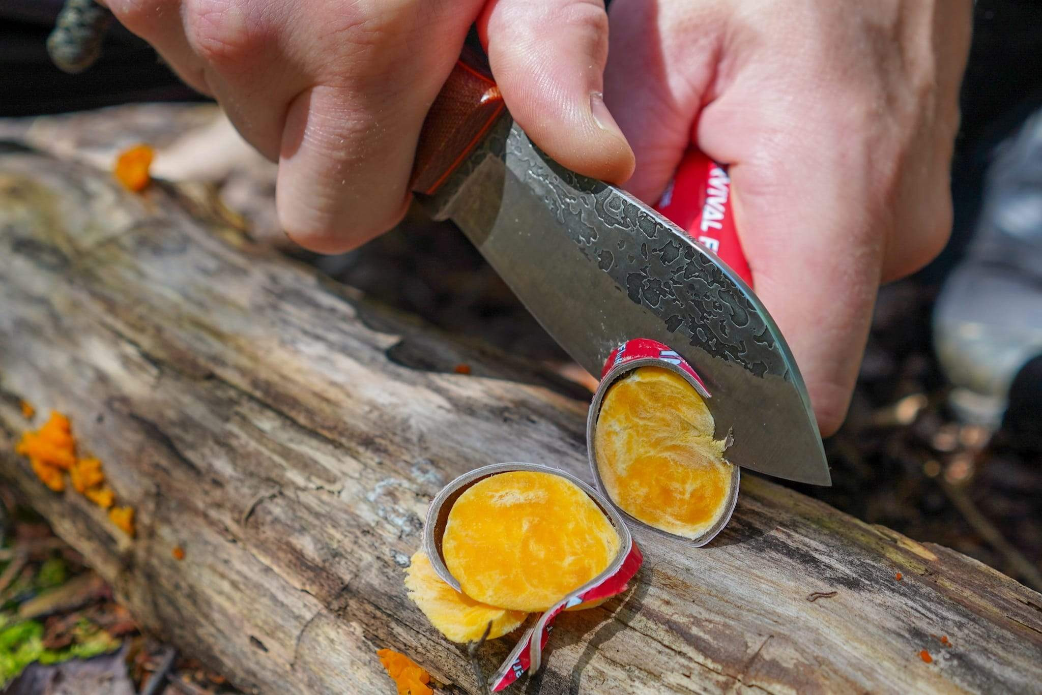 Procamptek Fast Fire Stick Rapid Fire Starting Tinder - KnifeCenter