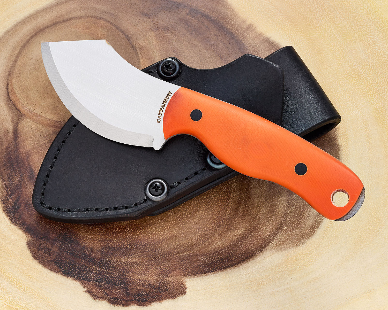 Wild Cat Custom Cutlery Custom Cat-Panion Fixed Blade Knife 3.65" AEB-L ...