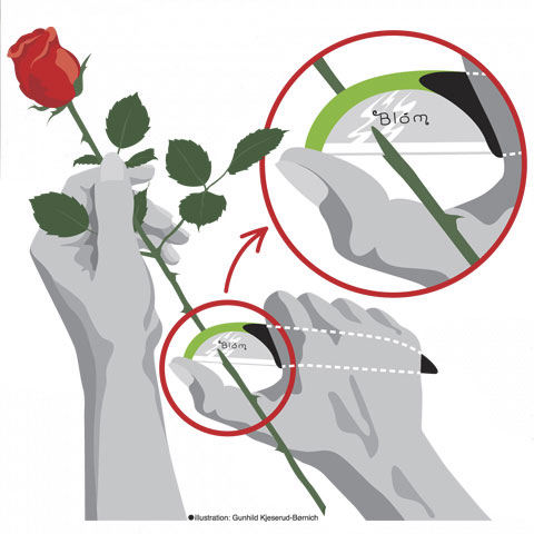 Blom Flowerknife 1-3/4" Utility Florist Blade, Soft Grip Handles, Edge ...