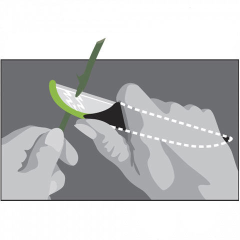 Blom Flowerknife 1-3/4" Utility Florist Blade, Soft Grip Handles, Edge ...